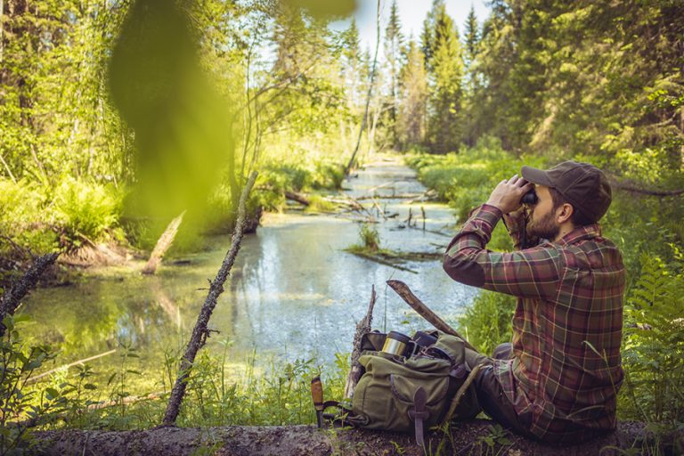 Birdwatching | Manitoba's Parkland